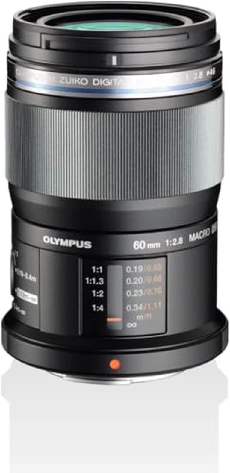 Test Canon RF 100-400mm : l'objectif zoom performant